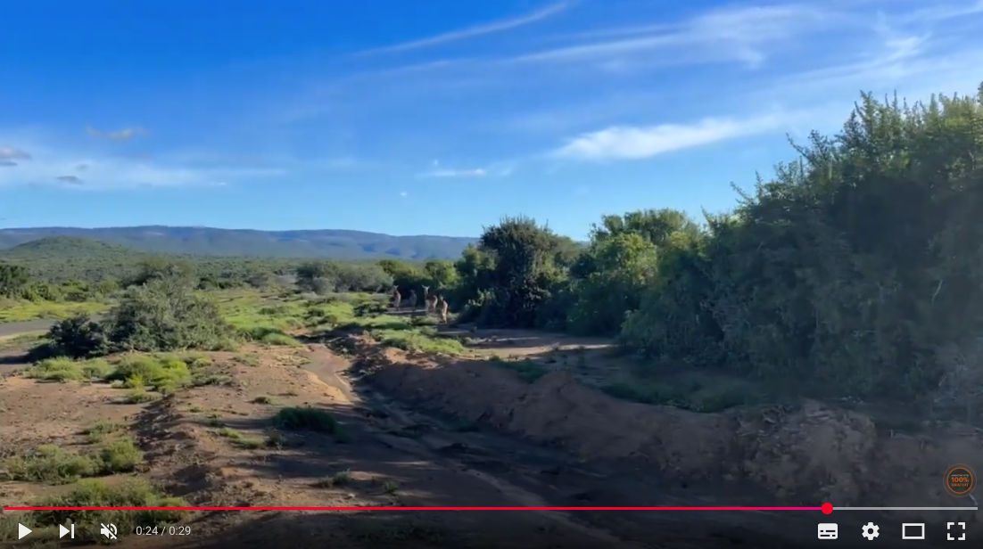 MAJEJE AFRICA SAFARIS : Une chasse inoubliable en famille en Afrique du ...